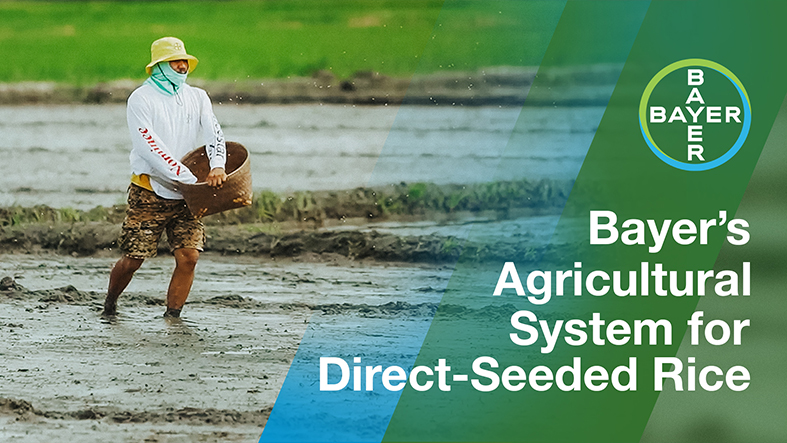 Bayer introduces agricultural system for direct-seeded rice with potential to reduce greenhouse ...