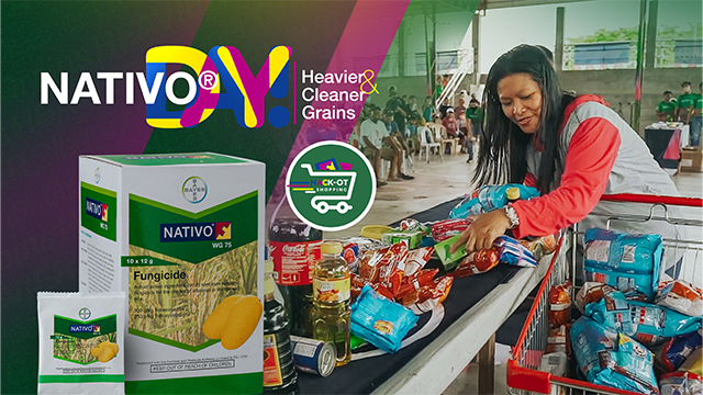 Heavier and cleaner grains highlighted in the very first Nativo Day ...