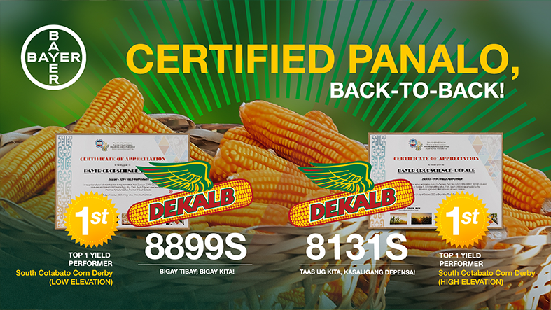 DEKALB® hybrids hailed as back-to-back champions in South Cotabato corn ...