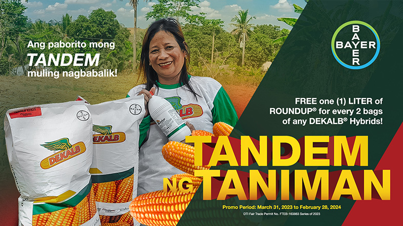 Tandem ng Taniman, muling nagbabalik para sa iyong maisan!