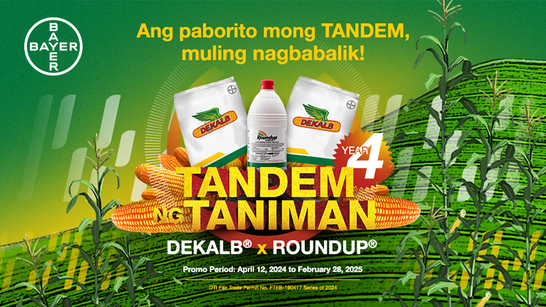 Tandem ng Taniman DEKALB X ROUNDUP
