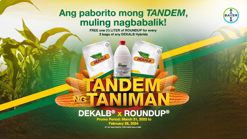 Tandem ng Taniman DEKALB X ROUNDUP